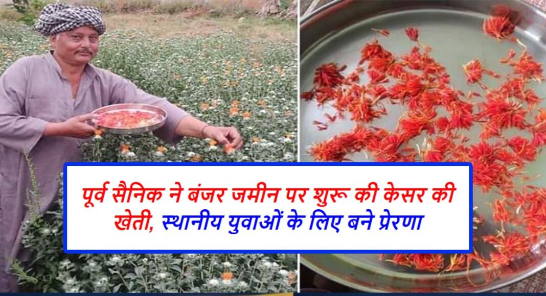 Kesar Ki Kheti: पूर्व सैनिक ने बंजर जमीन पर शुरू की केसर की खेती ...